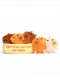 Plyšák Capybara - Emotional Support - Xzone.cz